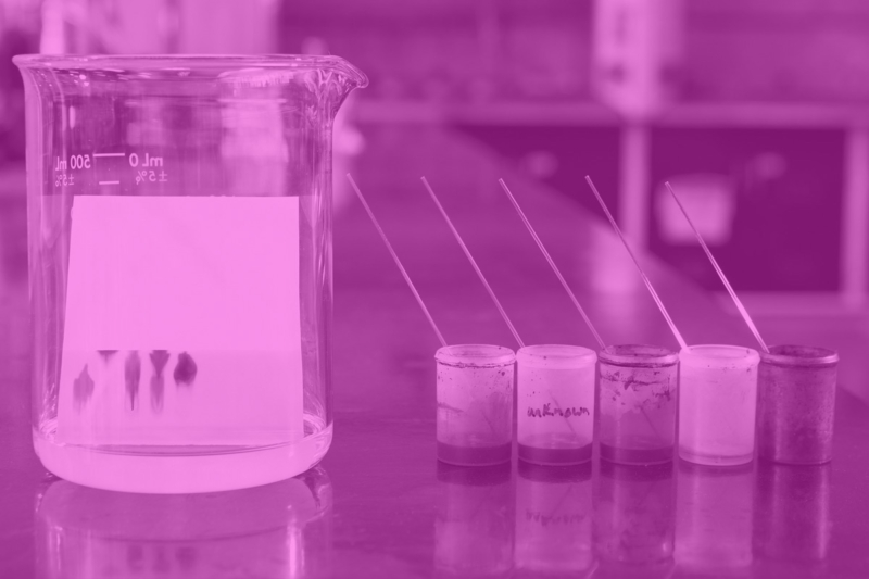 John Dolphin Fellowship | ChromSoc